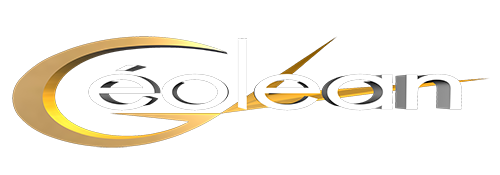Geolean USA - Lean Manufacturing Consultants