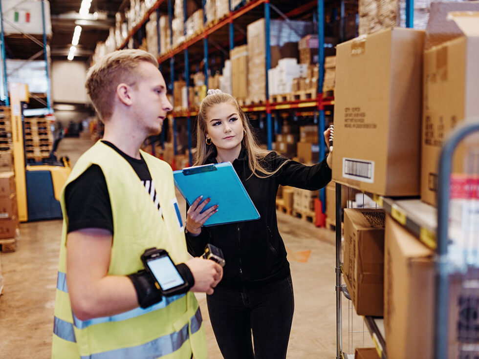 Lean Integration Services - Geolean USA